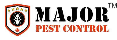 Major Pest Control Edmonton - Top Rated Pest Exterminators